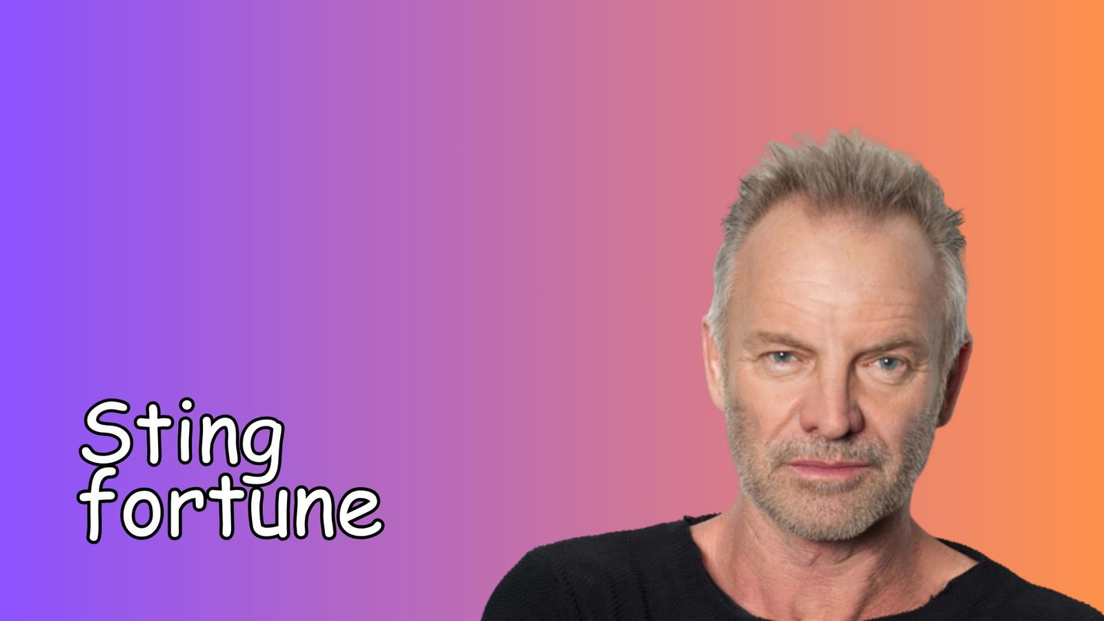 Sting Fortune, Salaire & Carrière 2025 - LaCélébrité