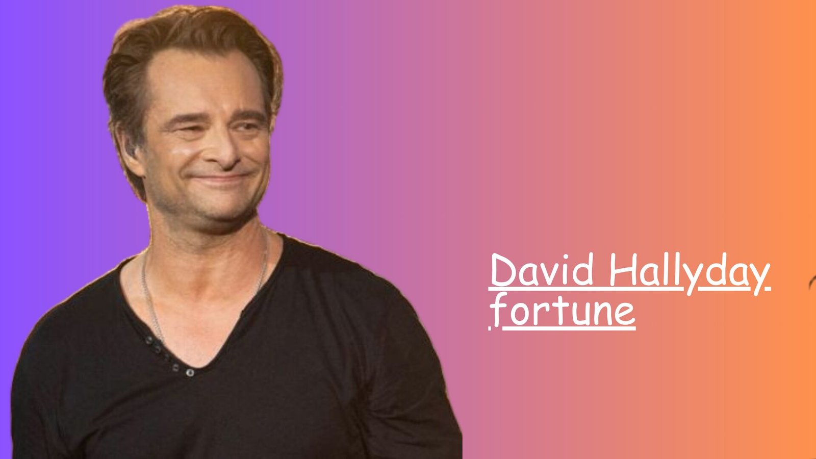 David Hallyday Fortune - LaCélébrité